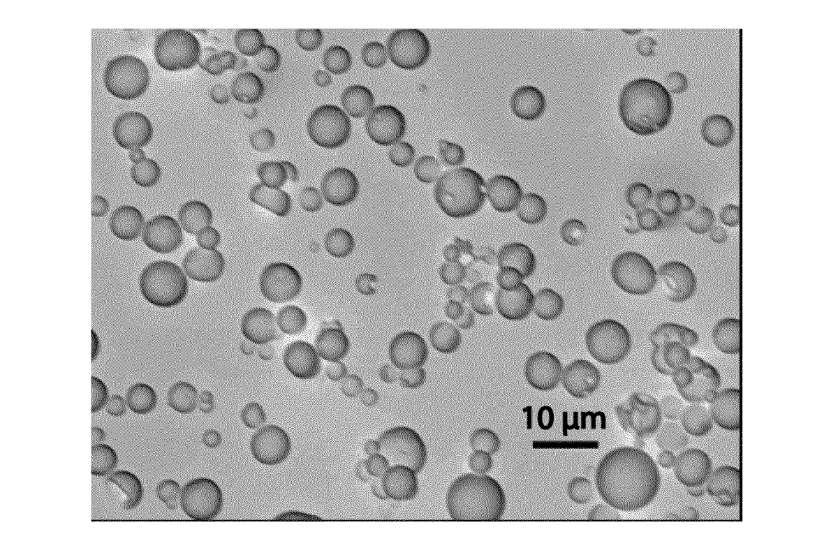 Thermoresponsive Hydrogel Containing Polymer Microparticles For ...