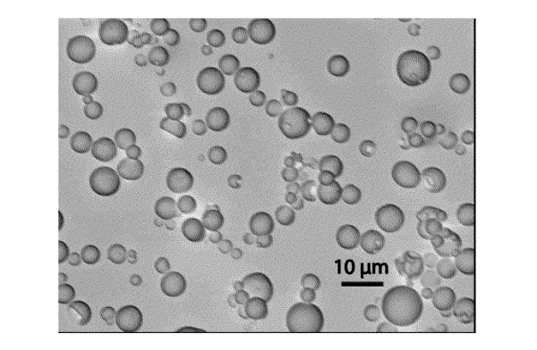 Thermoresponsive Hydrogel Containing Polymer Microparticles For ...