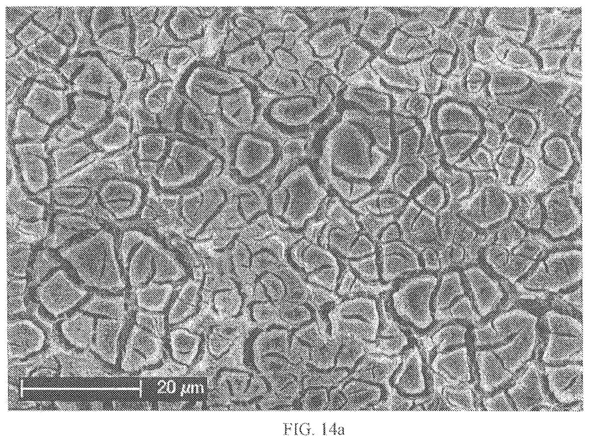 Non-noble metal based electro-catalyst compositions for proton exchange ...